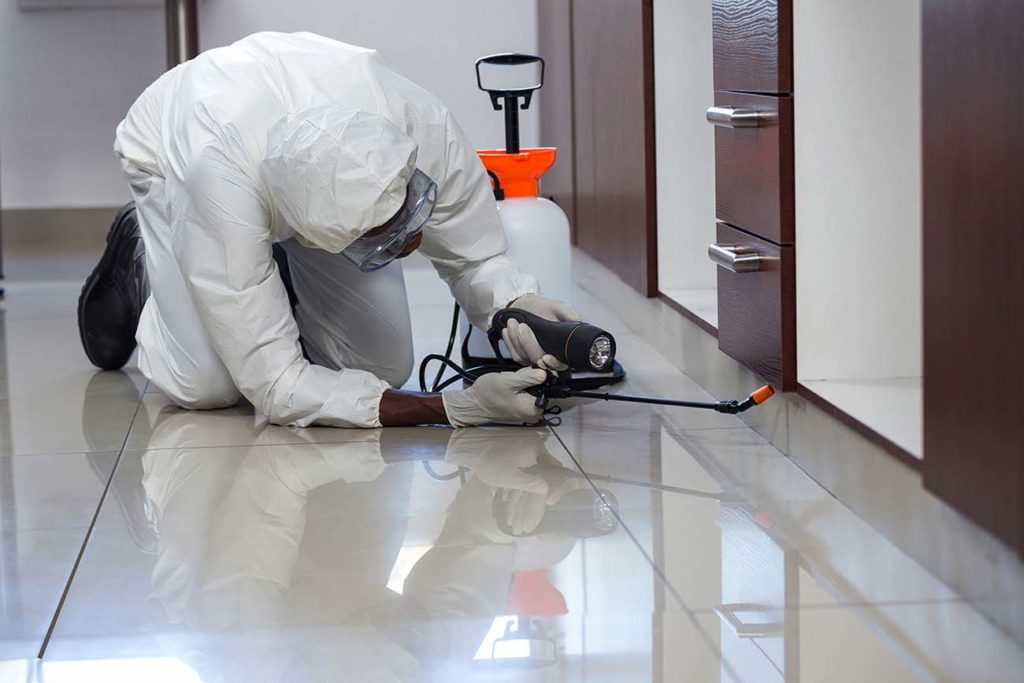 Pest Control Services - Bug Busters Birmingham